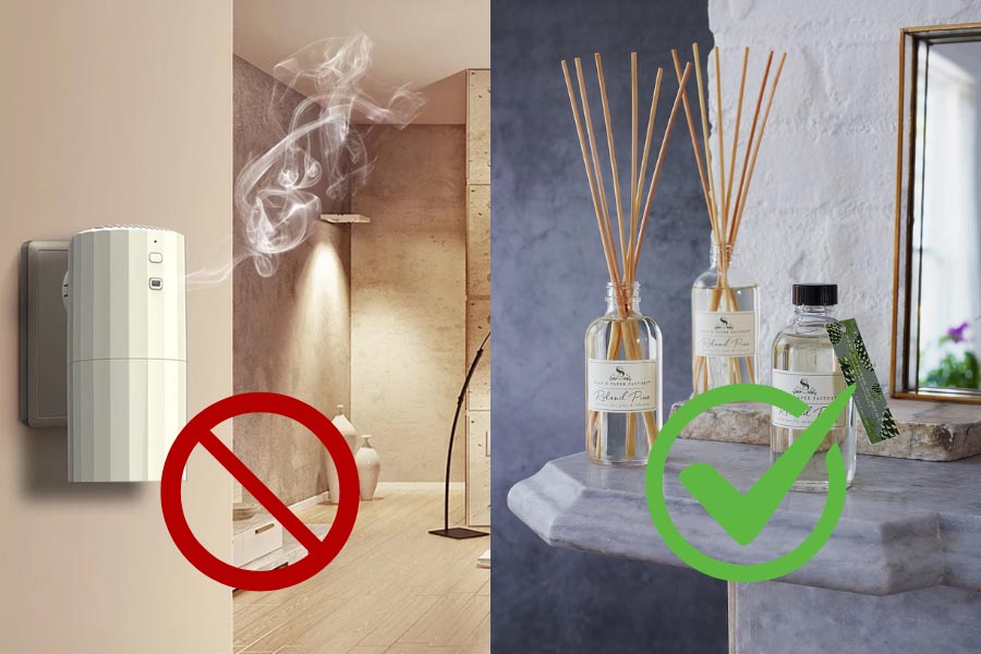 The Dangers of Toxic Air Fresheners and the Benefits of Healthier Alte ...